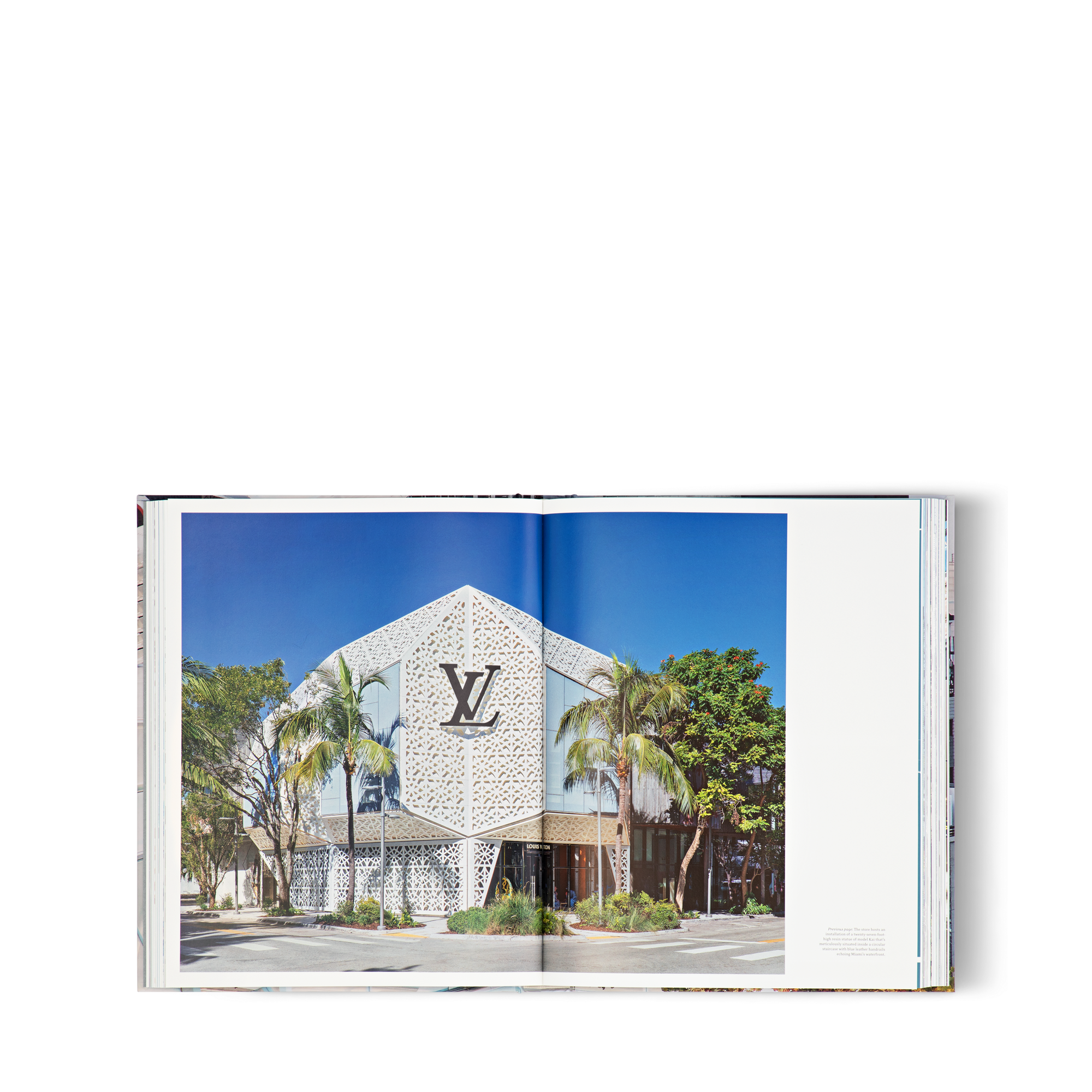 Louis Vuitton Skin: Architecture of Luxury Seoul - Luxury | LOUIS VUITTON