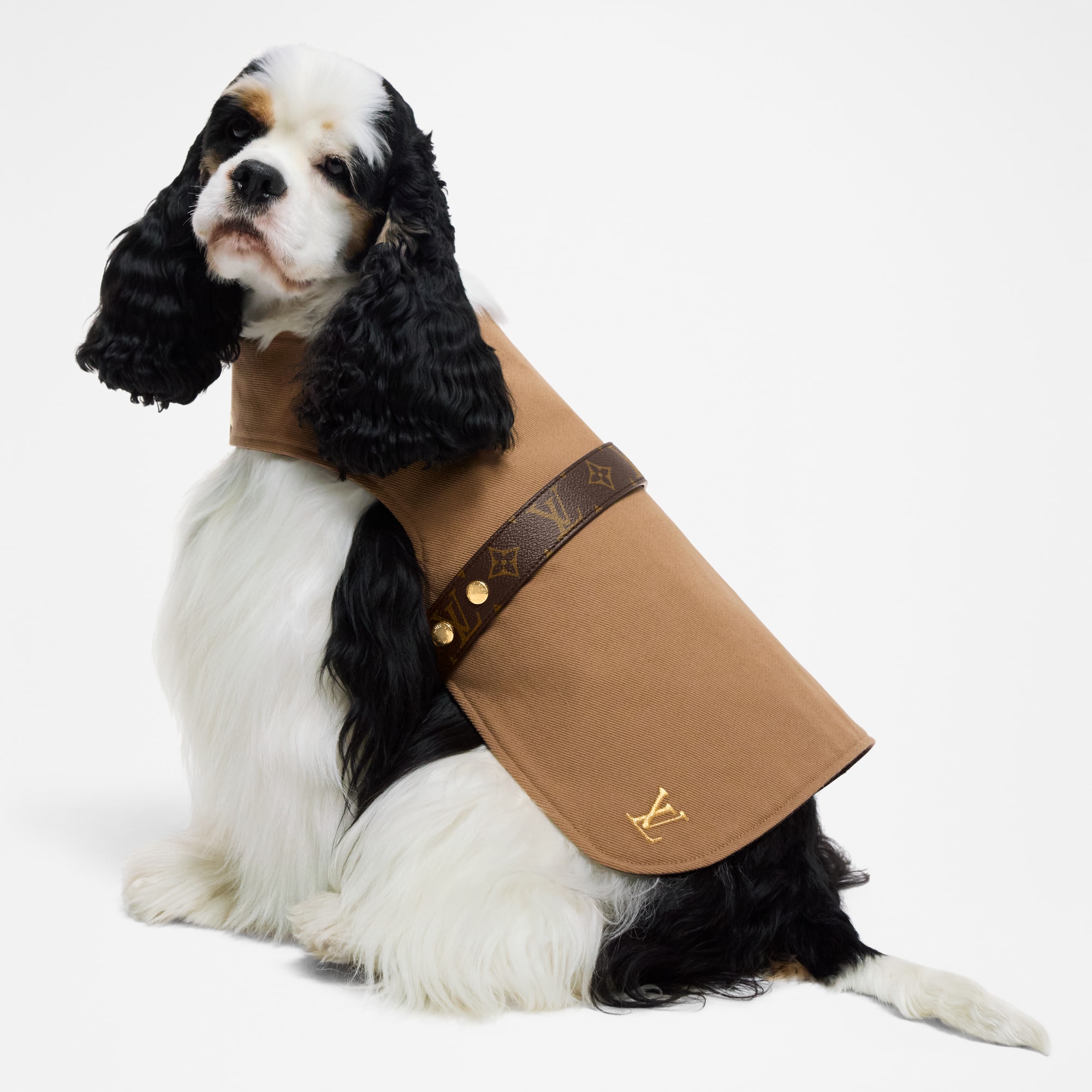 Waterproof Dog Coat MM - Luxury Brown | LOUIS VUITTON